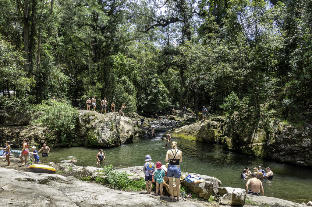 PSA update for National Parks and Wildlife Service members - Public ...