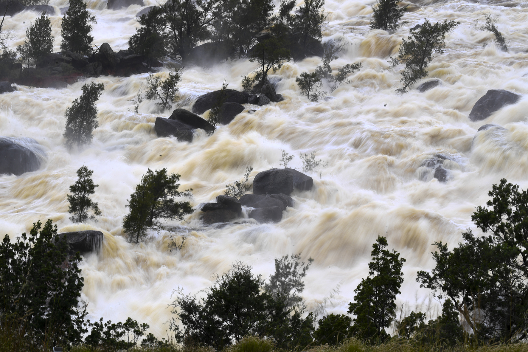 NSW Department of Climate Change, Energy, the Environment and Water ...